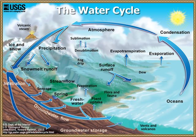 Water Cycle Diagram For Class 7 The Water Cycle Infographic | Science