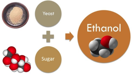 Processing algae - Energy Education