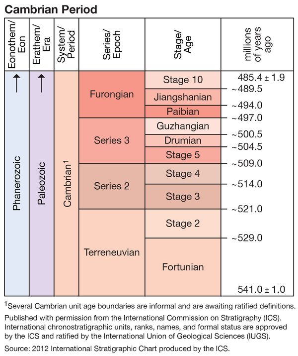 Cambrian - Energy Education