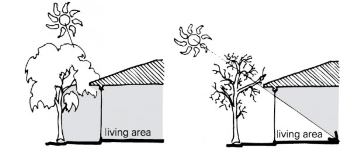 Shading technology - Energy Education