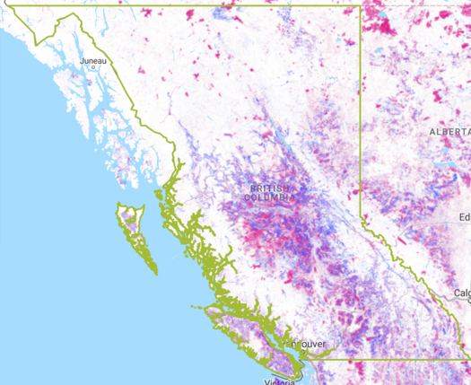 Afforestation - Energy Education
