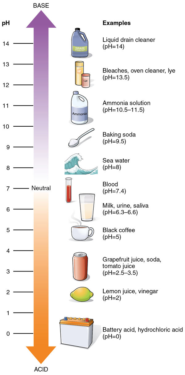 The pH scale - Energy Education