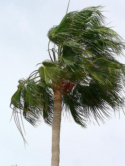 Wind chill - Energy Education