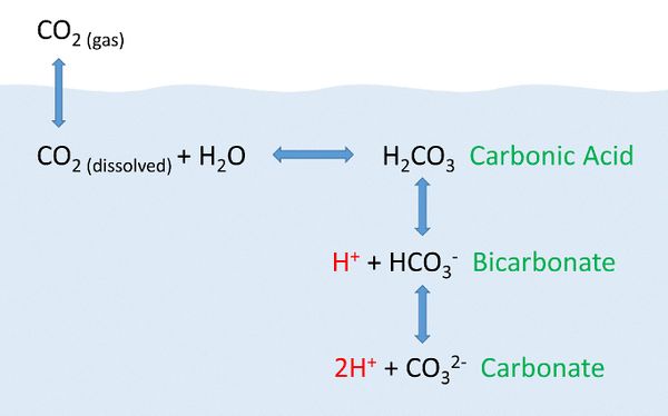 Solute - Energy Education